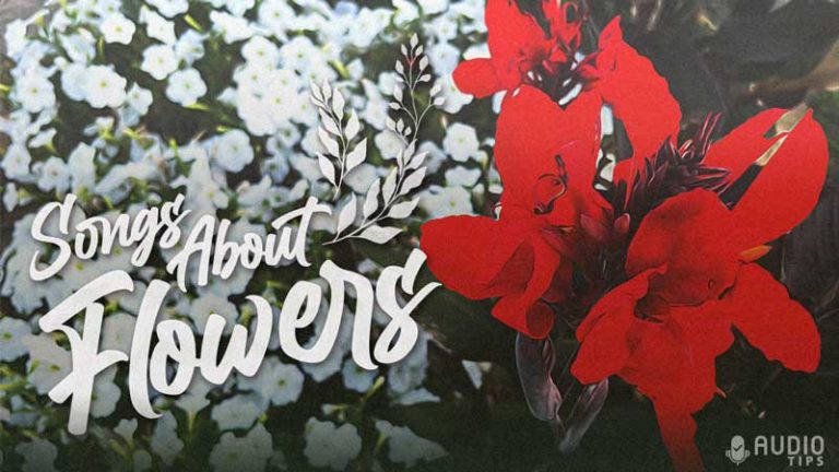 47 Best Songs About Flowers (2024 With Videos) - Audio Tips